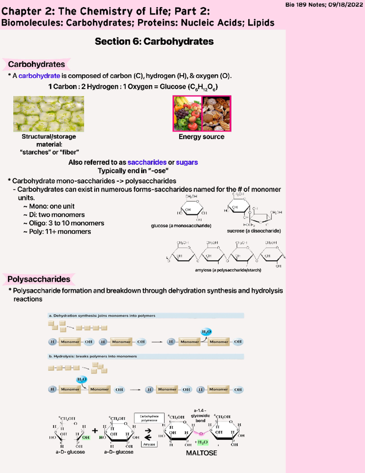 Chapter 2 pg13 - BIOL 189 - Studocu