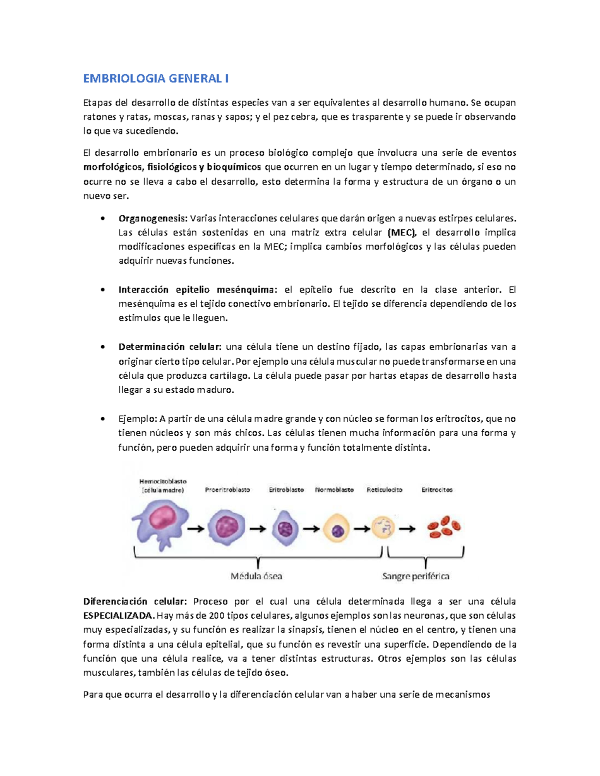 Catedra 12 embriologia y ontogenia general - EMBRIOLOGIA GENERAL I ...