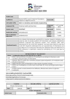 Unit 11 Assignment 2 - Assignment Brief 2022- Student name ...