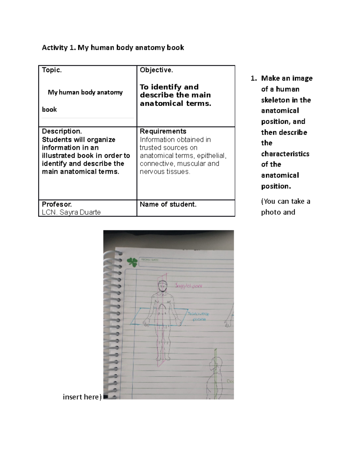 Activity 1. My human body book-1 - Activity 1. My human body anatomy ...