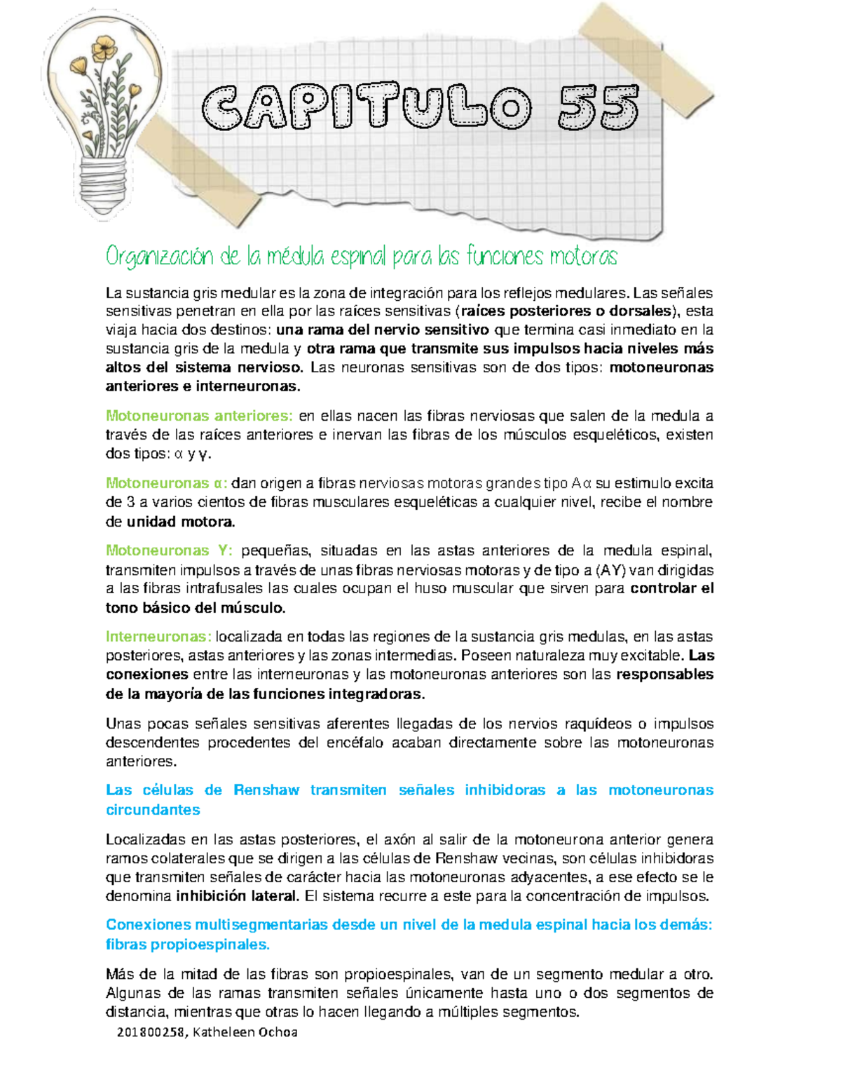 Capitulo 55 guyton resumen - Γ CAPITULO 55 Organización de la médula espinal para las funciones ...