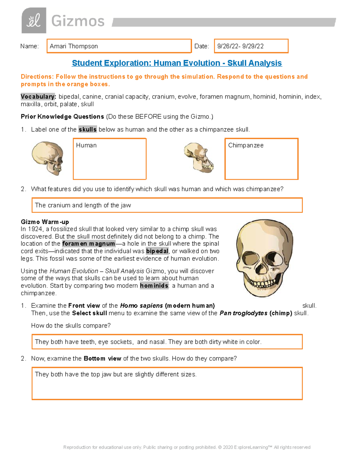 Human Evolution SE - Respond to the questions and prompts in the orange ...