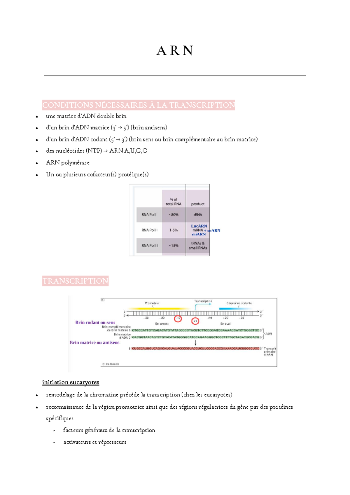 Synthèse, maturation et métabolisme de l’ARN - A R N CONDITIONS ...