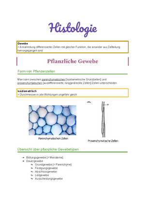 Morphologie, Anatomie und Histologie der Pflanzen - Organisationsstufen ...