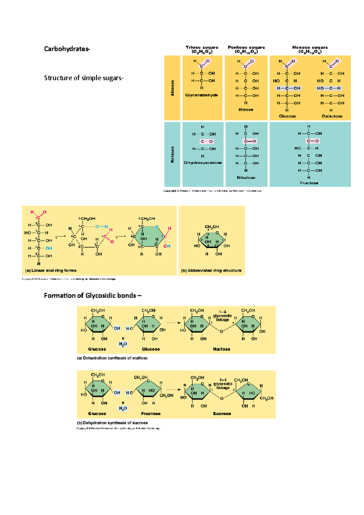 Carbohydrates - Lecture notes 4-5 - Carbohydrates- Structure of simple ...