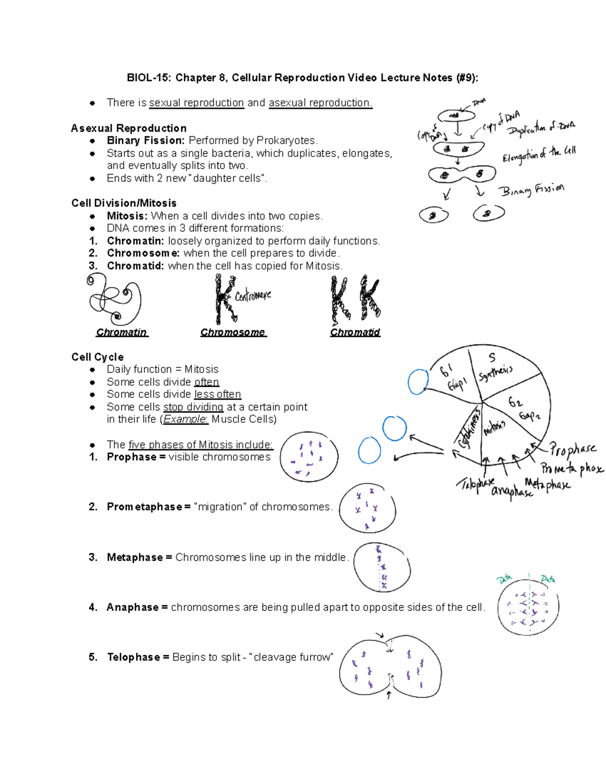 BIOL-15 Chapter 8, Cellular Reproduction Video Lecture Notes (#9 ...