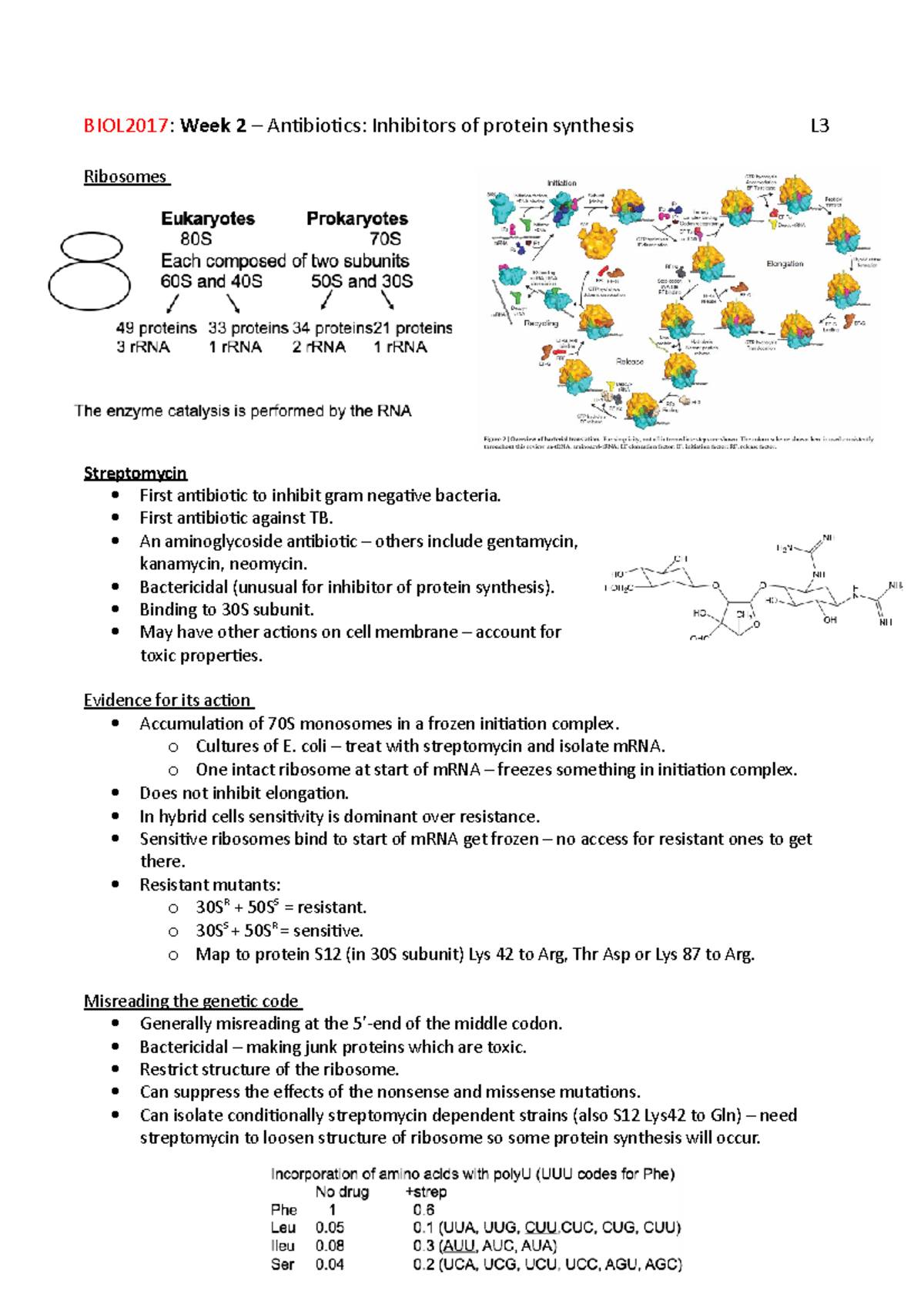 Protein synthesis inhibitors - BIOL2017: Week 2 – Antibiotics ...