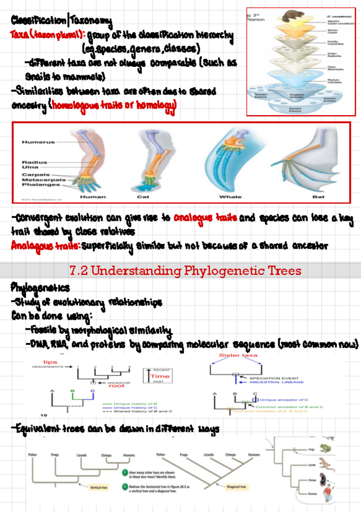 Topic 6 Lecture Notes - 7 Understanding Phylogenetic Trees ...
