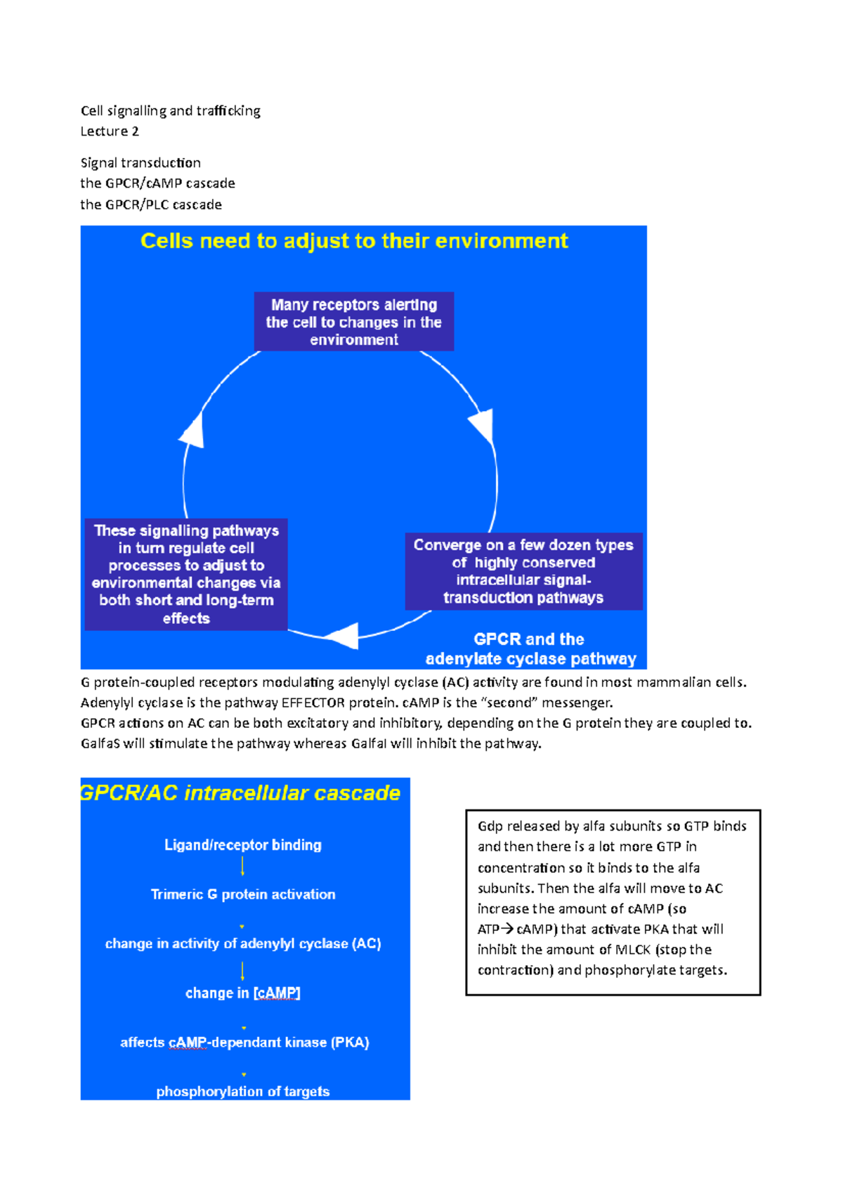 Lecture 3+4 of Patterson Cell Signalling - Cell signalling and ...