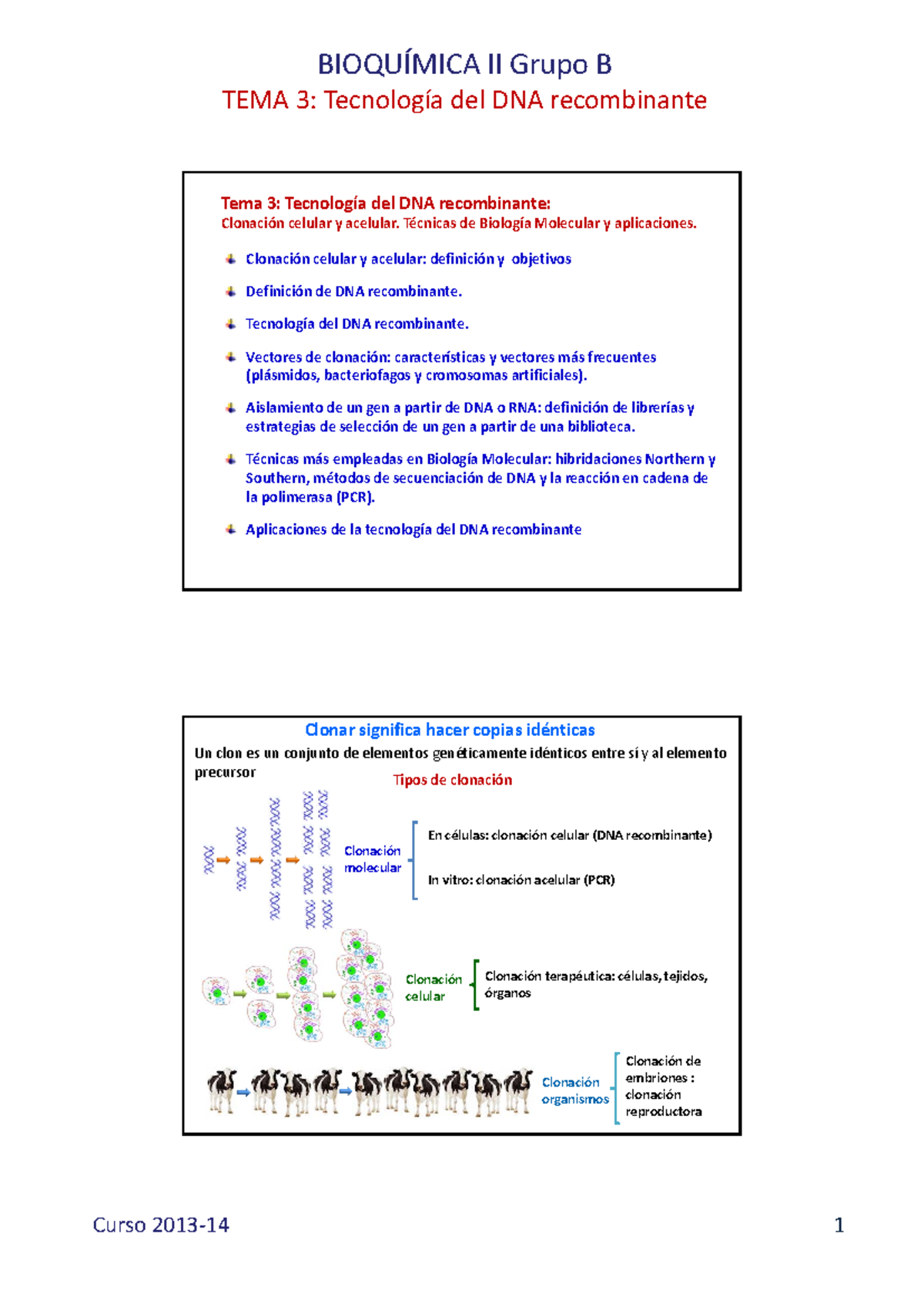 Teoría Curso Clonaje- Ácidos Nucleicos - TEMA 3: Tecnología del DNA ...
