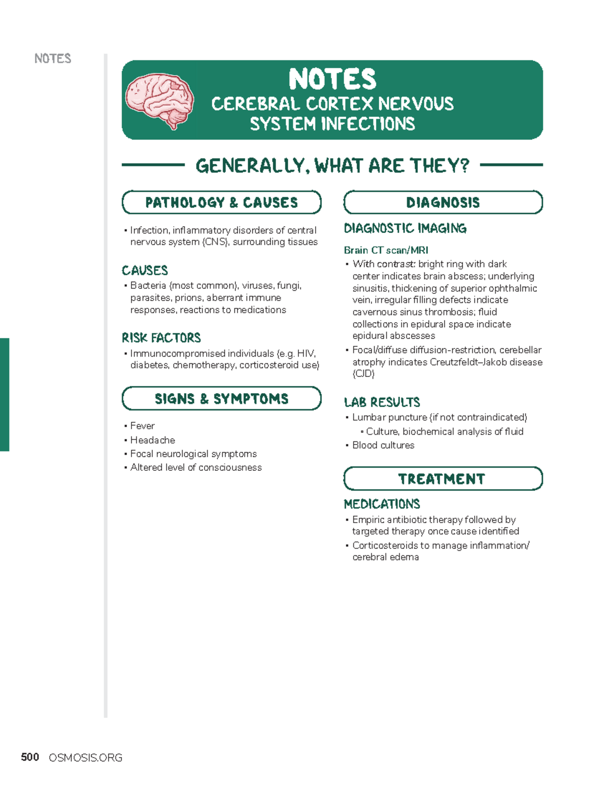 Nervous system infections - NOTES NOTES CEREBRAL CORTEX NERVOUS SYSTEM ...