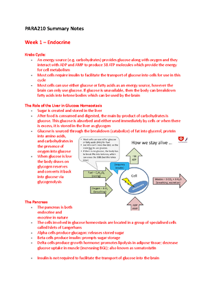FRAT - falls risk assessment (FRAT) criteria for older patients who ...