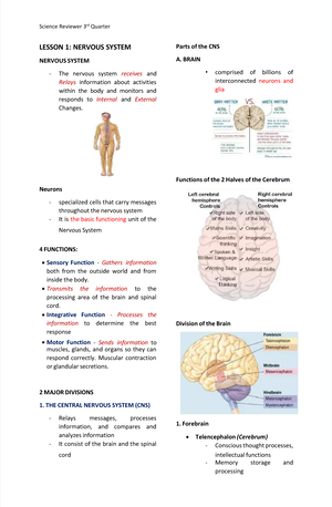 Primer 2020 - For DOST exam - ABOUT THE EXAMINATION The DOST-SEI ...
