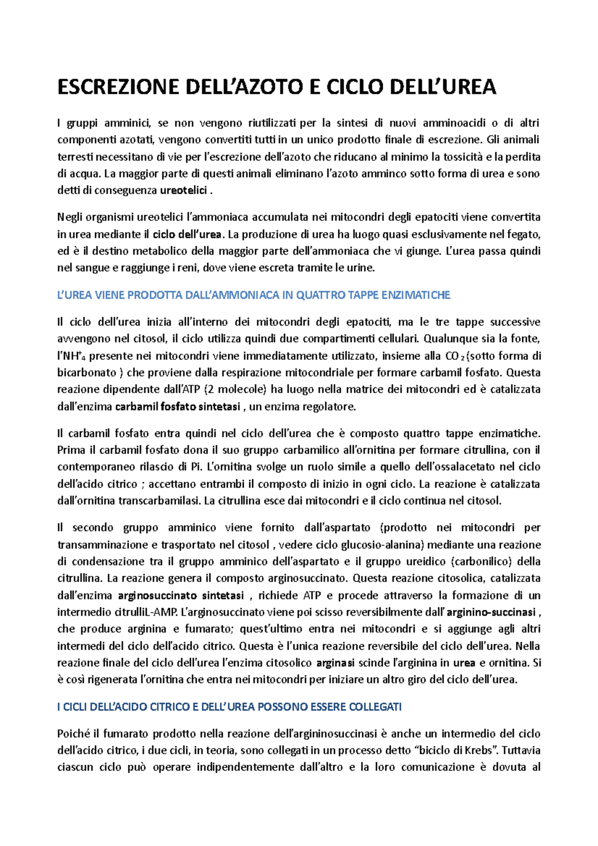 Escrezione DELL' Azoto E Ciclo DELL'UREA - ESCREZIONE DELL’AZOTO E ...