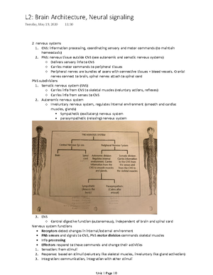 Unit 2 Lecture 6 Magnetoreception - Hippocampus plays a key role in spatial representation and ...