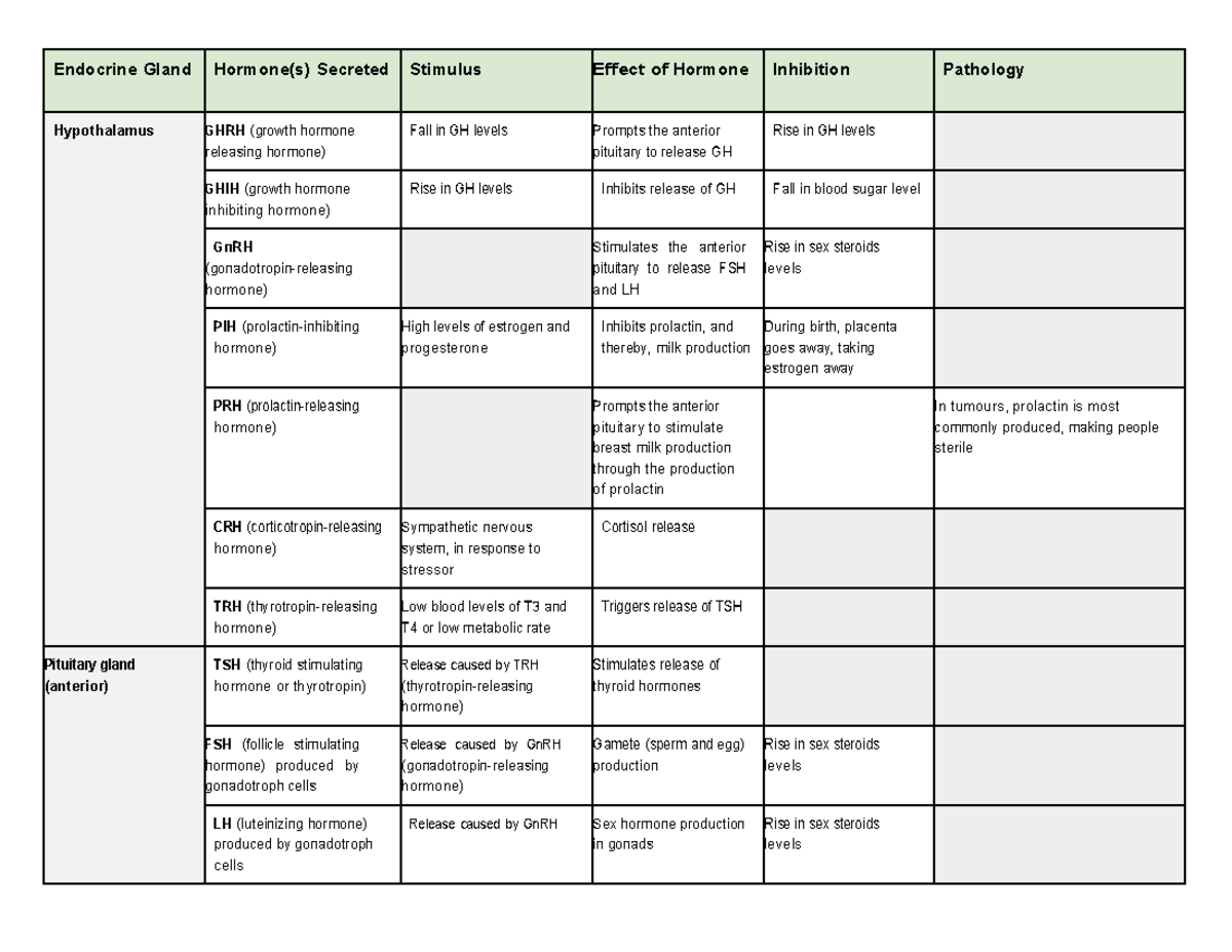Chart Endocrine - Patho - PATH 511 - University of Toledo - Studocu