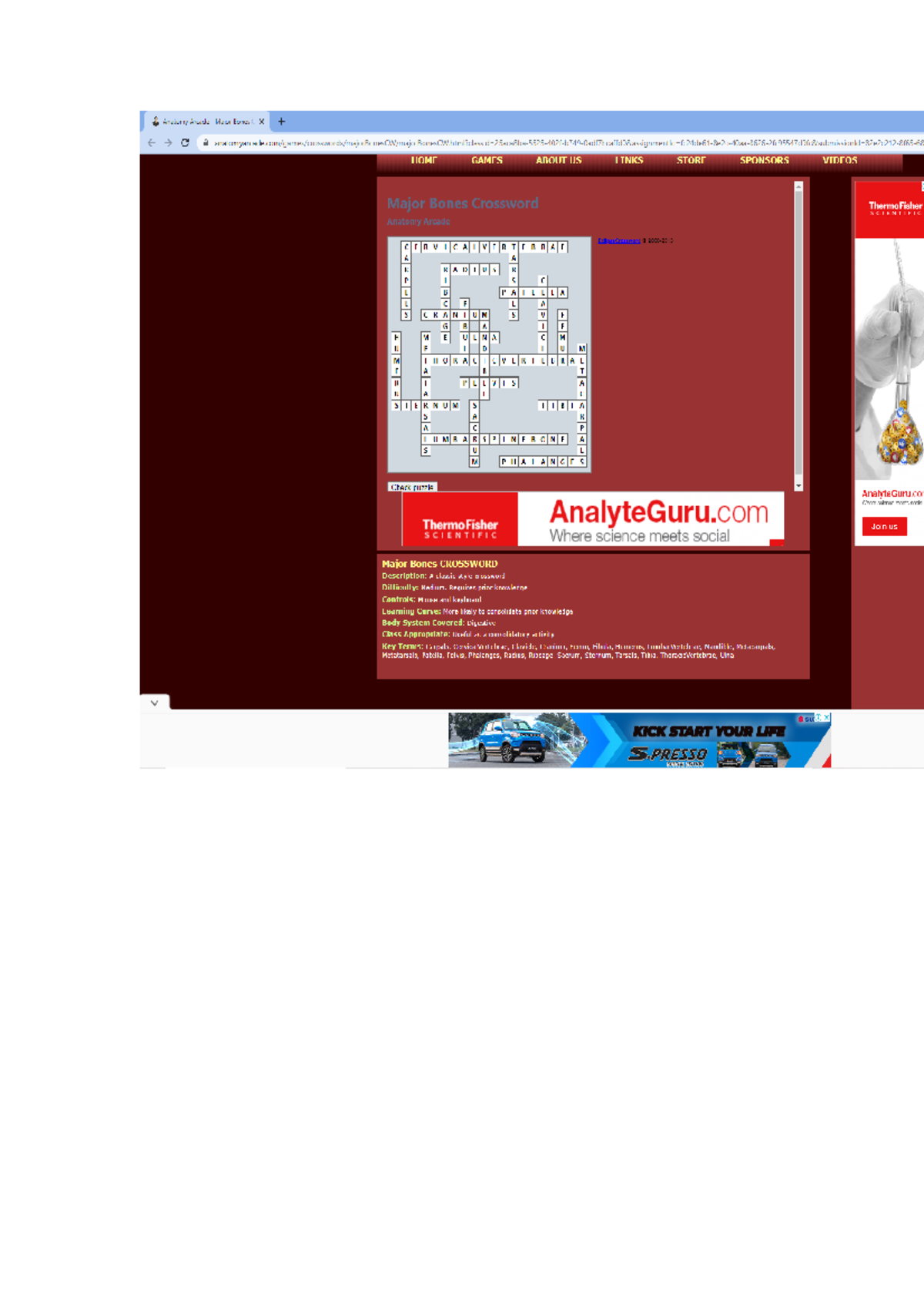 Activity - good luck - Physiotherapy - Studocu