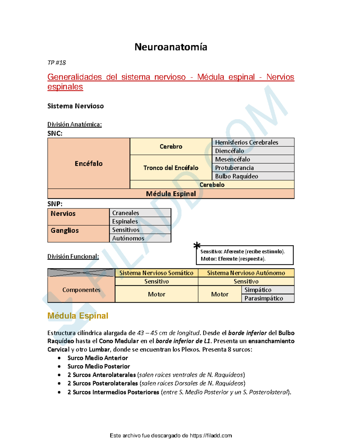 Neuro Resumen Garcas TP#18 - Warning: TT: undefined function: 32 Neuroanatomía TP Generalidades ...