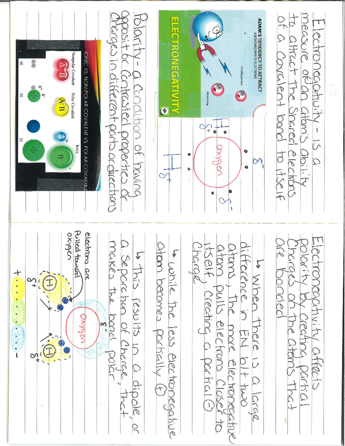 Unit 2 - Composition Notebook Notes - Properties of Water - Studocu