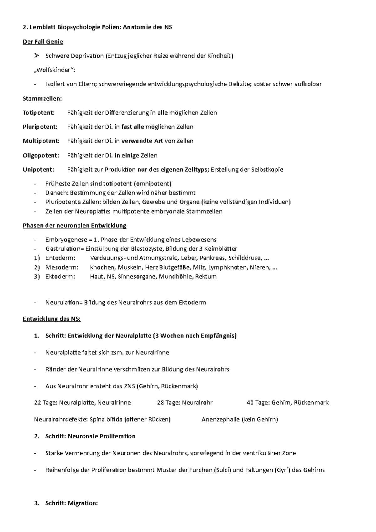 2. Lernblatt Biopsychologie Folien - in fast alle möglichen Zellen Multipotent: Fähigkeit der Di ...
