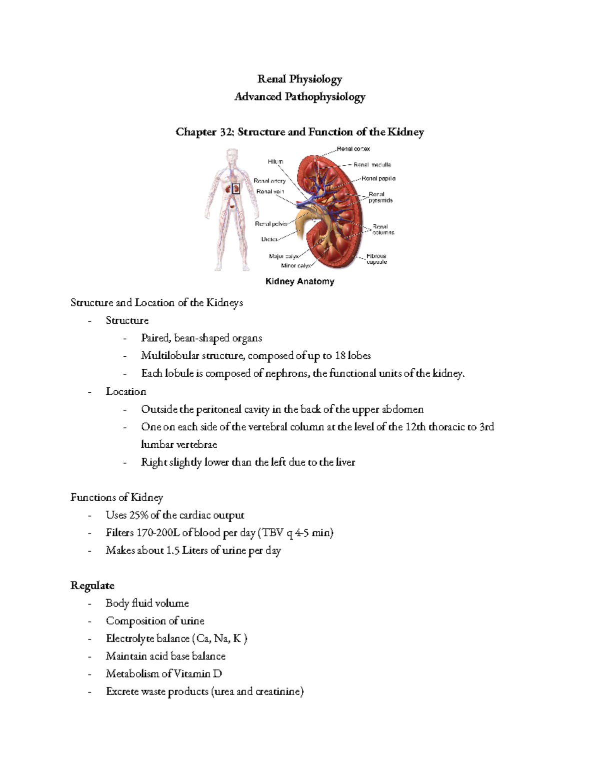 Chapter 32 Structure and Function of the Kidney - Renal Physiology ...