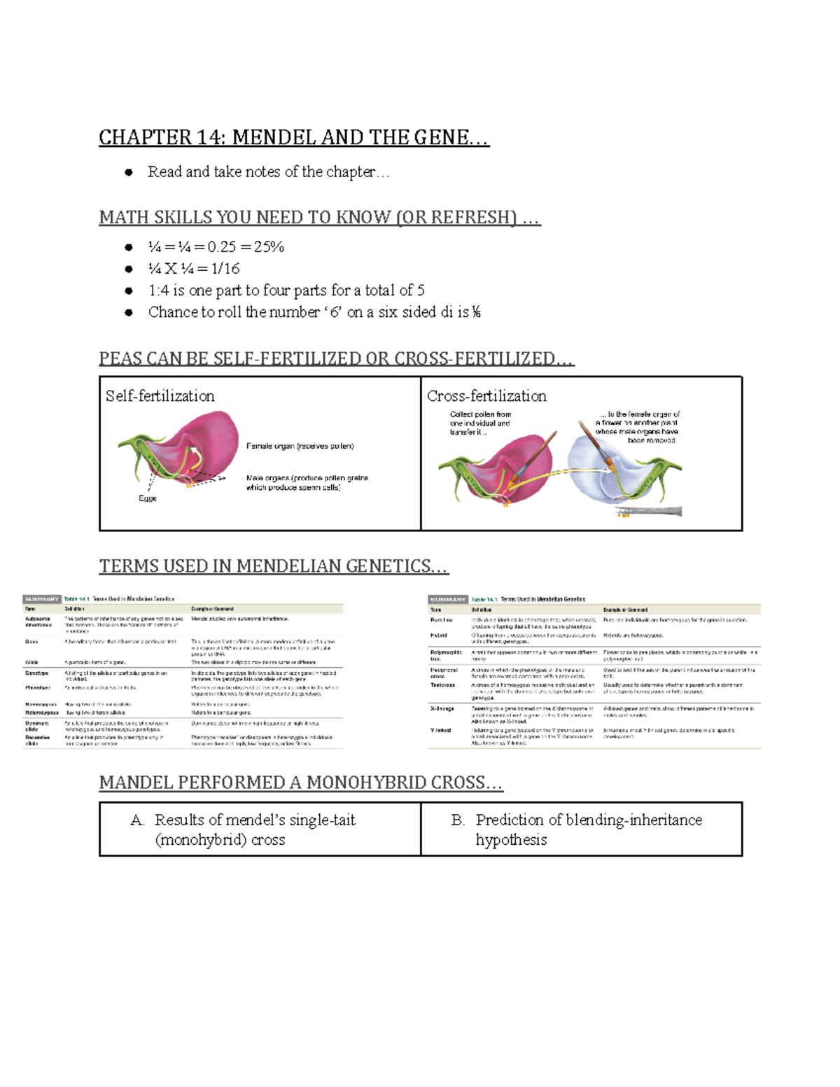 Chapter 14 Notes - CHAPTER 14: MENDEL AND THE GENE... Read and take ...