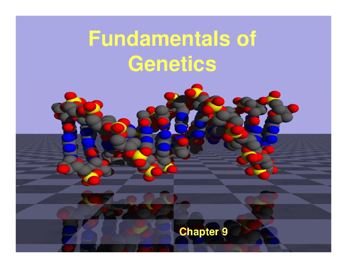 Biology Fundamentals Of Genetics(A) - Fundamentals of Genetics Chapter ...