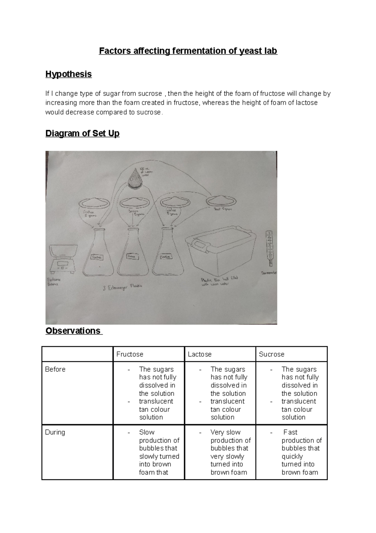 Bio Yeast Lab - it a lab - Factors affecting fermentation of yeast lab ...