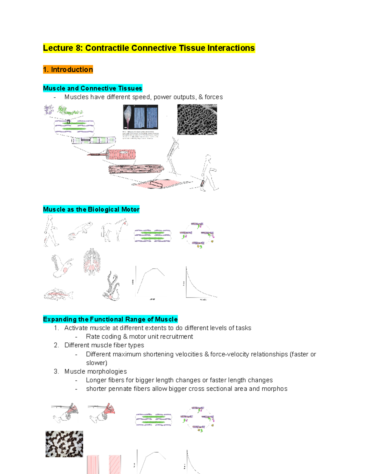 BIOL 171A Lec. 8-9 - Lecture notes 8-9 - Lecture 8: Contractile ...