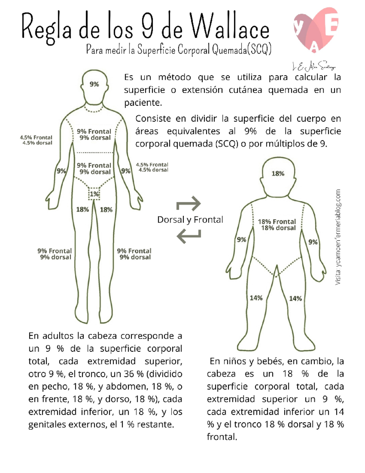 Regla de 9 - Regla de los 9 de Wallace Para medir la Superficie Corporal Quemada(SCQ) LEAle ...
