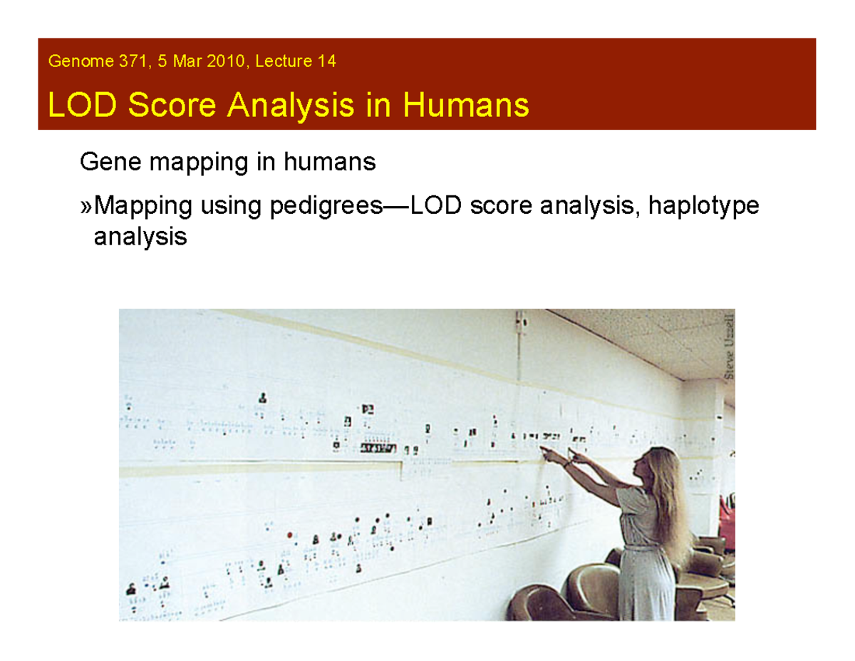 March 5 - génétique - Gene mapping in humans »Mapping using pedigrees ...