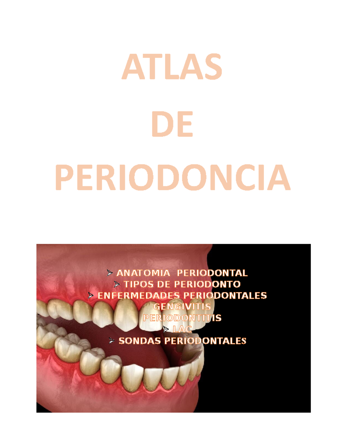 Atlas Periodontal realizado - ATLAS DE PERIODONCIA ANATOMIA PERIODONTAL ...