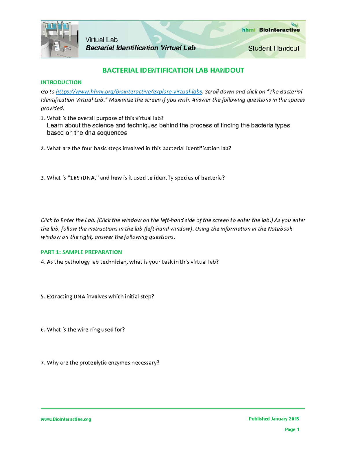 Bacterial Identification Lab Worksheet Student - BioInteractive ...