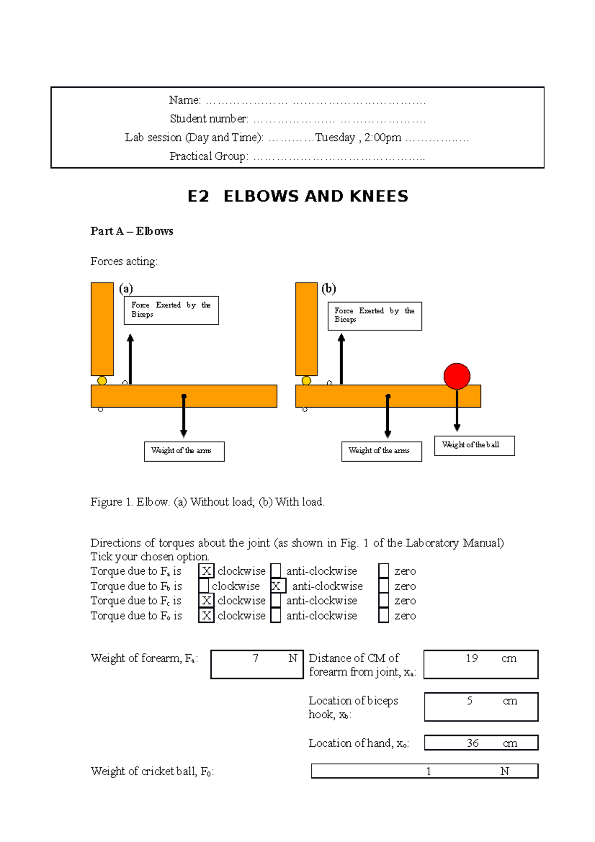 PHYS1171 - Report 2 - solution - Name