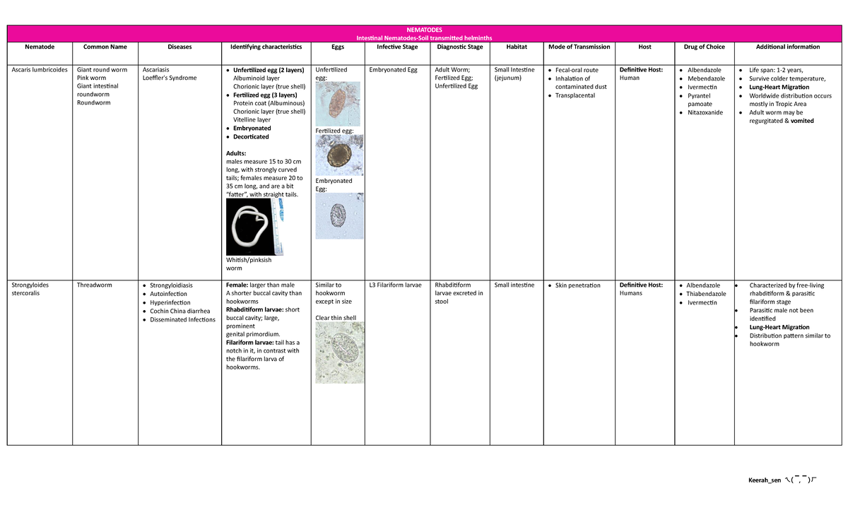 Nematodes - NEMATODES Intestinal Nematodes-Soil transmitted helminths ...