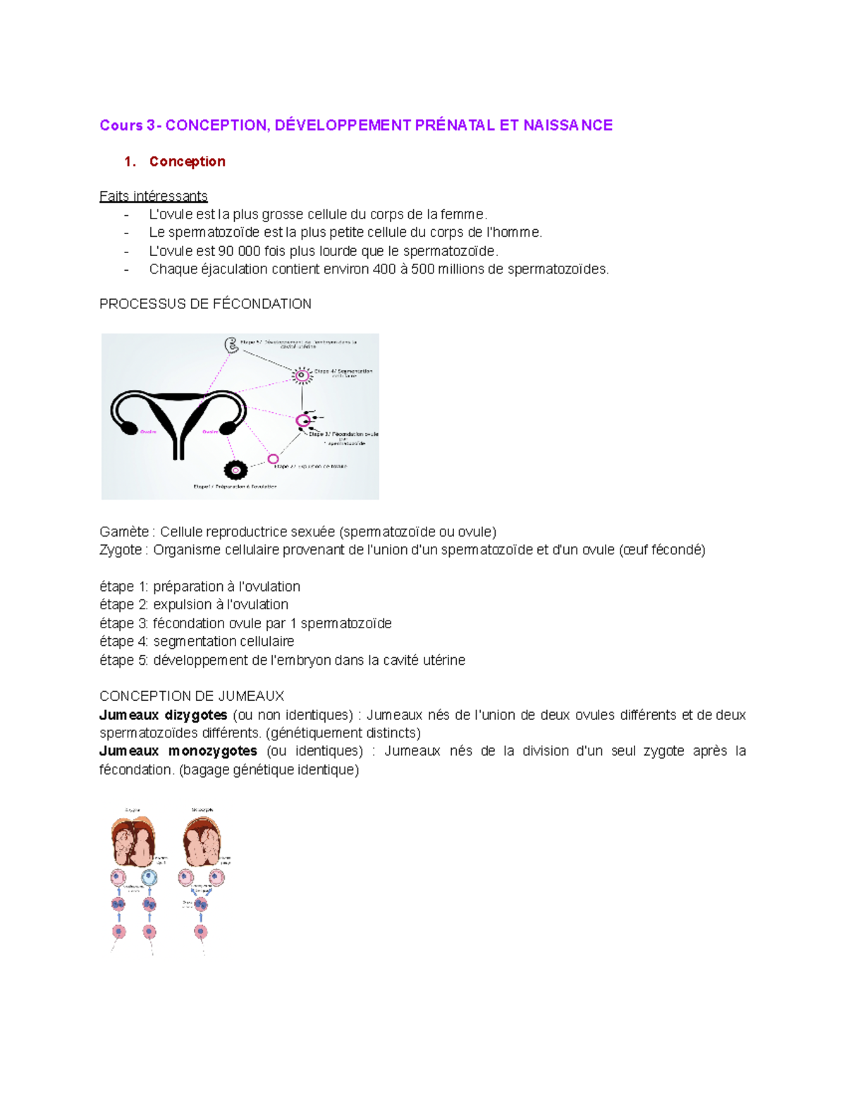 Cours 3 - Cours 3- CONCEPTION, DÉVELOPPEMENT PRÉNATAL ET NAISSANCE 1 ...