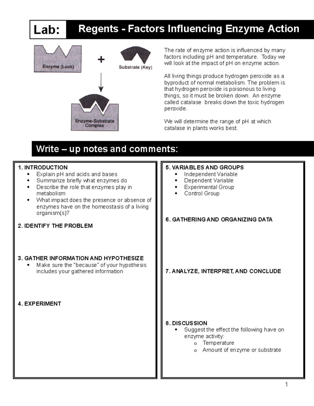 Lab-Enzyme Action - Regents - D The rate of enzyme action is influenced ...