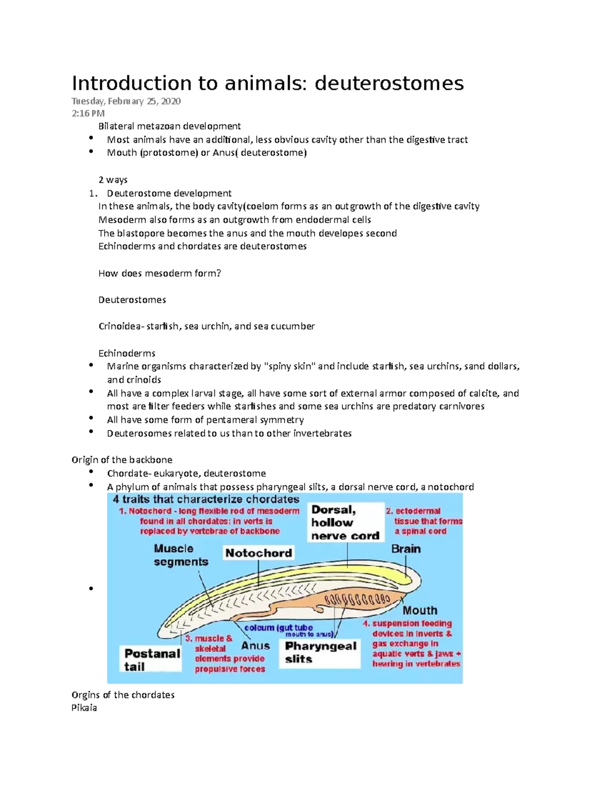 Introduction to animals - Studocu