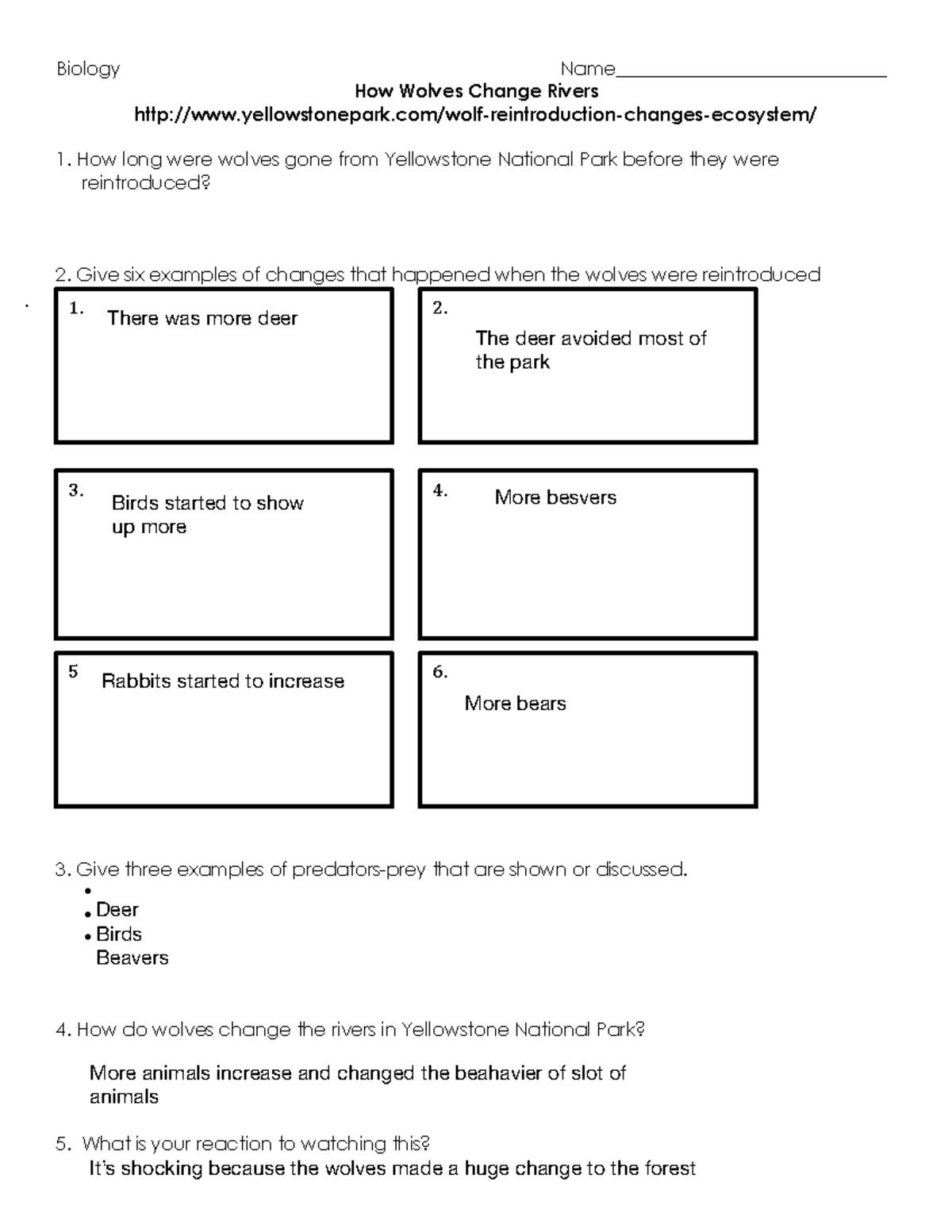 How Wolves Change Rivers - Biology Name ...
