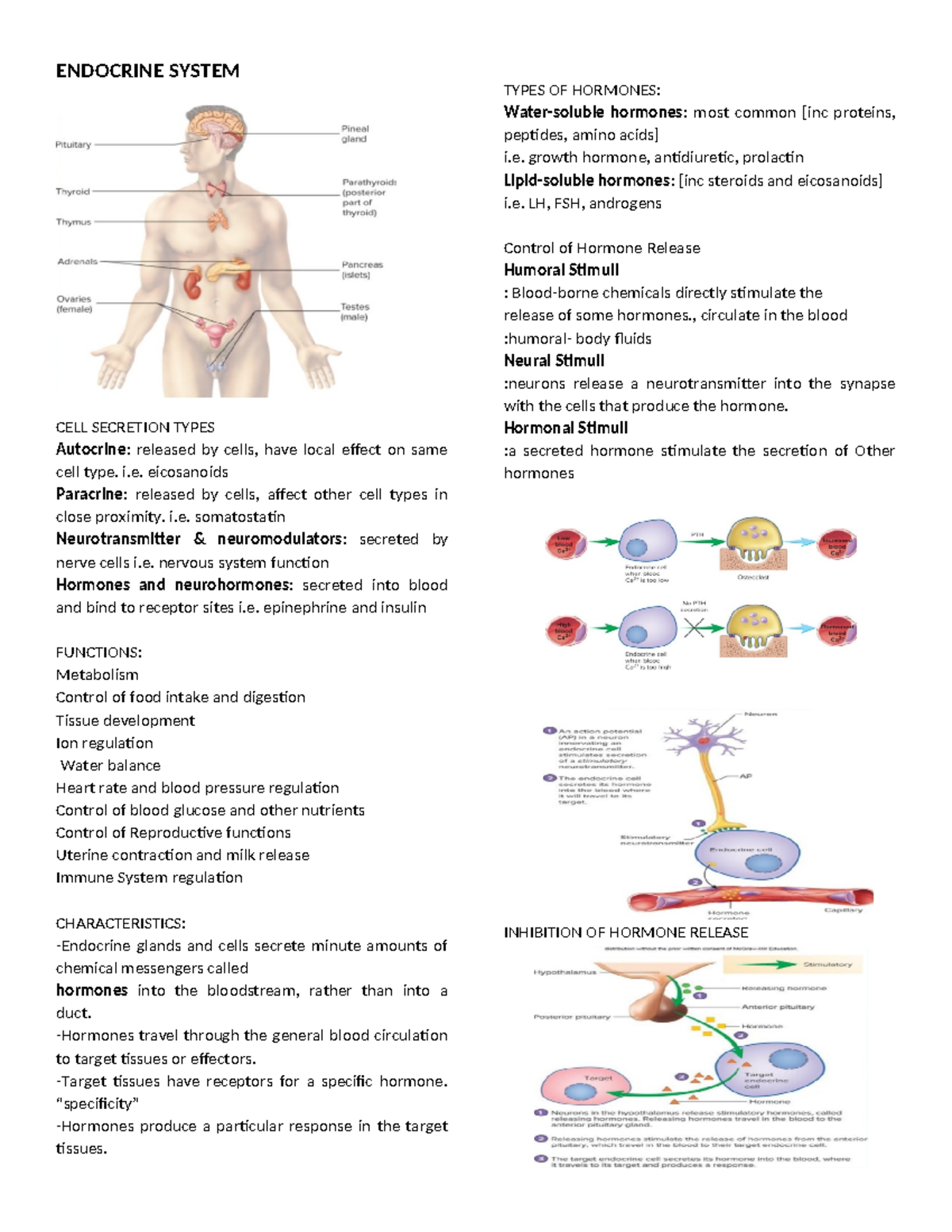 Anaphy Finals [from endocrine] - ENDOCRINE SYSTEM CELL SECRETION TYPES ...