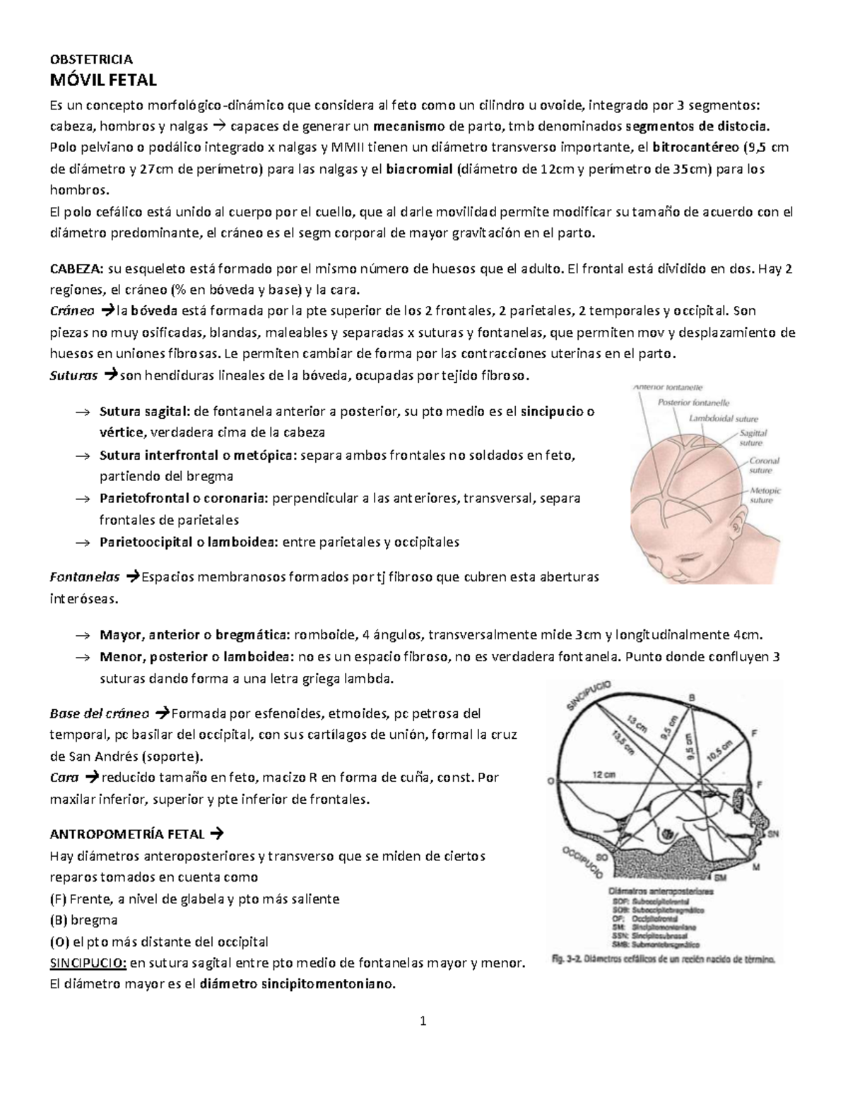 - Obstetricia Móvil Fetal - MÓVIL FETAL Es un concepto morfológico ...