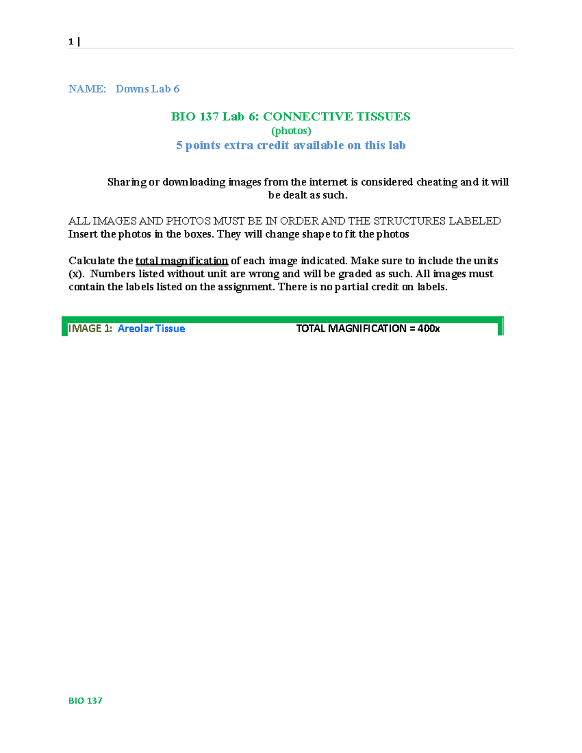 LAB 6 Worksheet - NAME: Downs Lab 6 BIO 137 Lab 6: CONNECTIVE TISSUES ...
