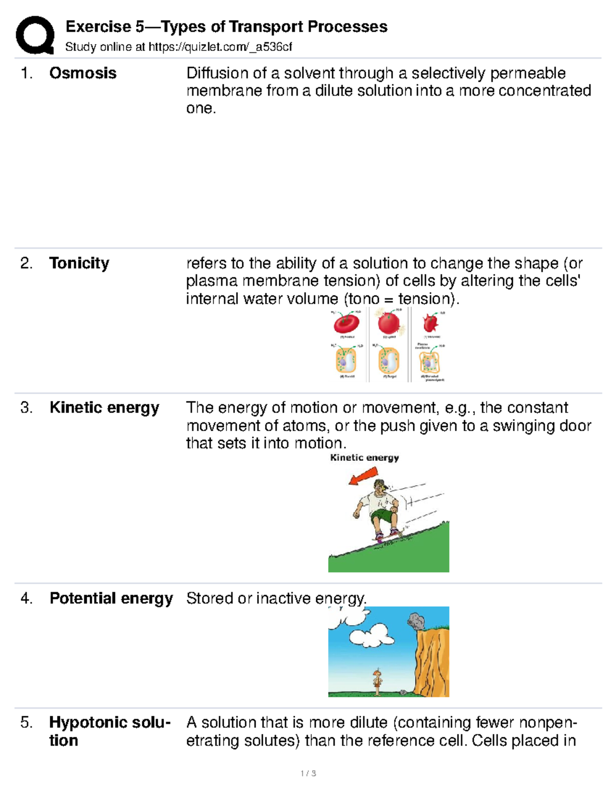 Exercise 5-Types of Transport Processes - Exercise 5—Types of Transport ...