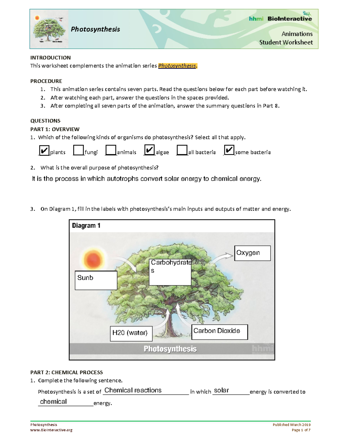 Alex Grant Photosynthesis - Photosynthesis Published March 2019 ...