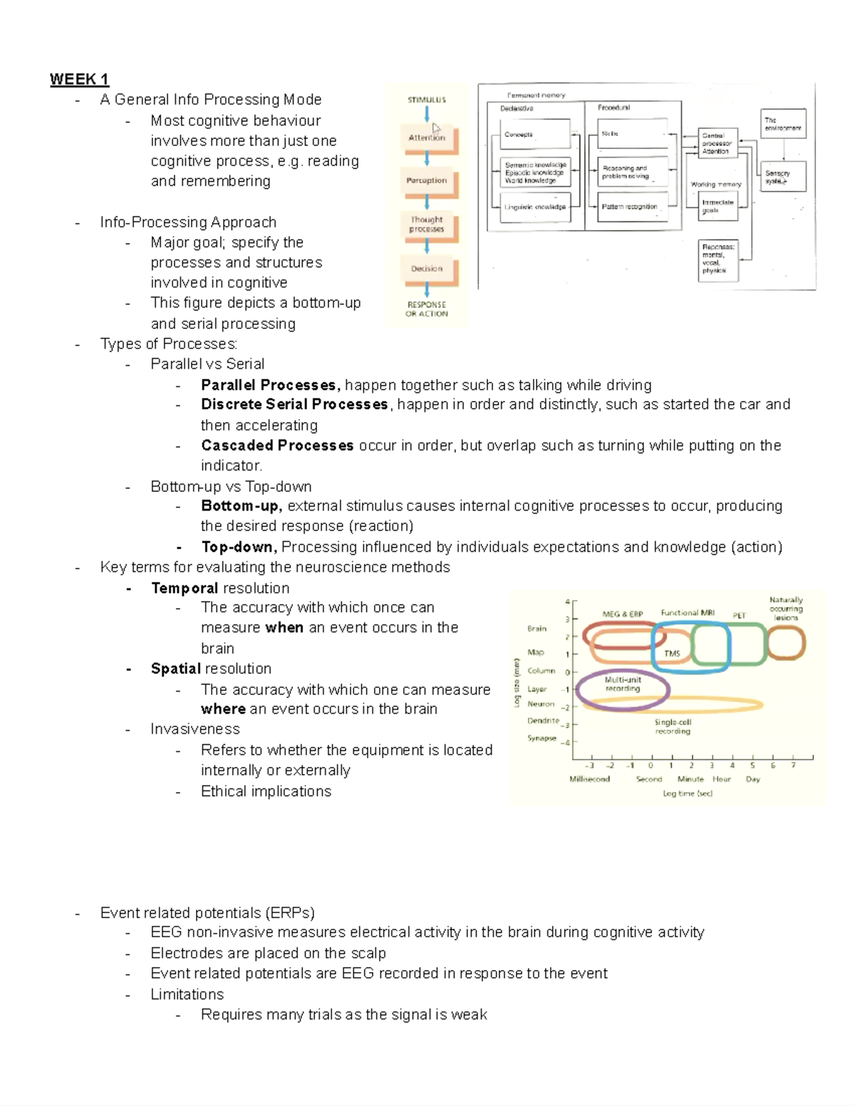 Cognitive Processes 1 - Google Docs - WEEK 1 A General Info Processing ...