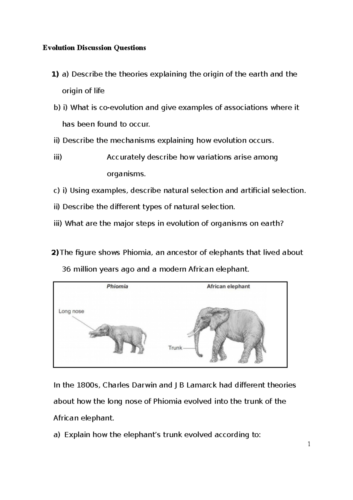 Seeta Evolution discussion Questions - Evolution Discussion Questions a ...