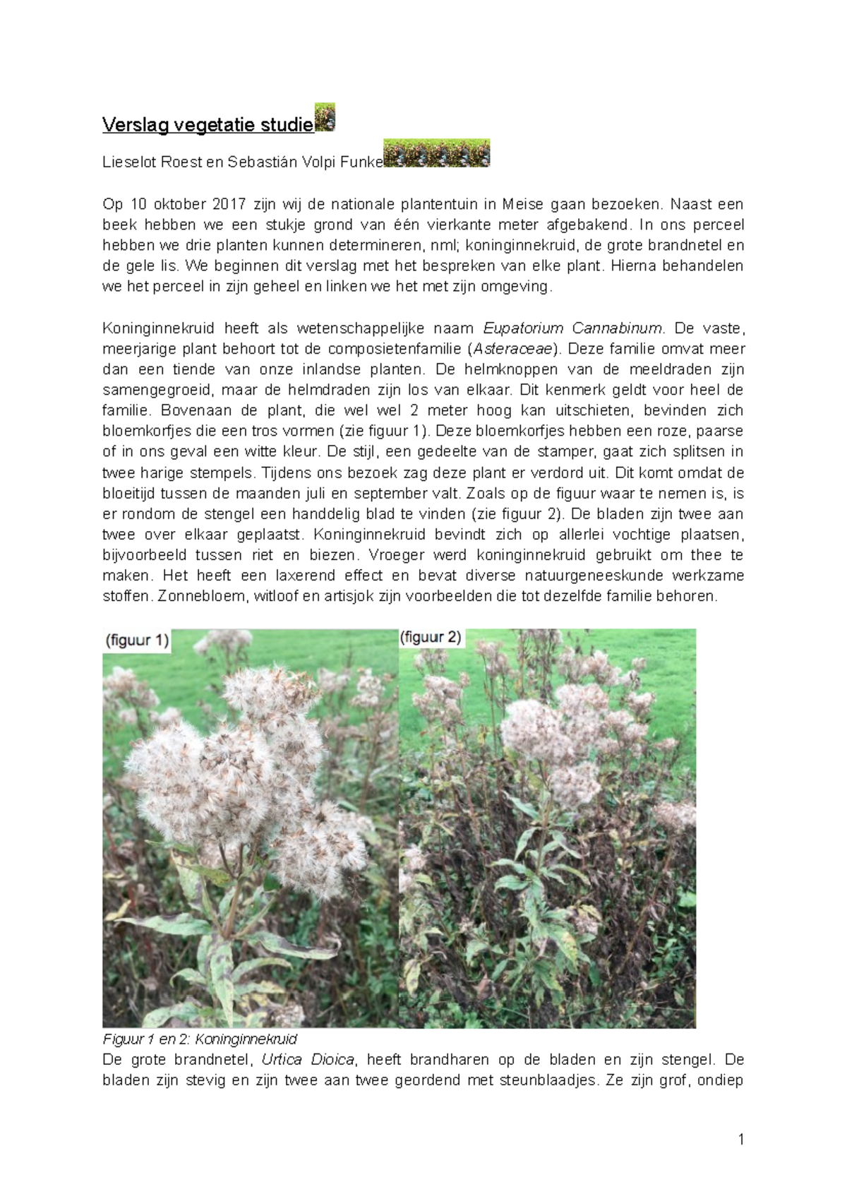 Plantentuin Meise - Verslag vegetatie studie Lieselot Roest en ...