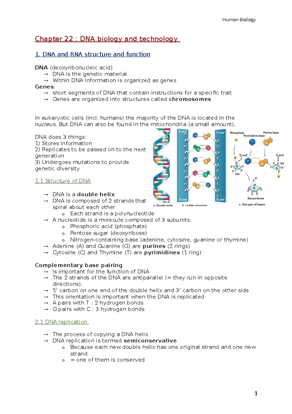 Chapter 22 - Samenvatting Human Biology - Human Biology Chapter 22 ...