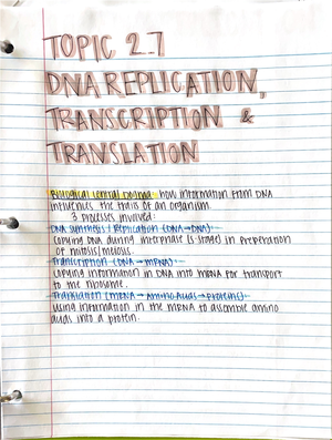 2.6 notes - IB JR SL Bio section 2.6 Structure of DNA and RNA. The ...