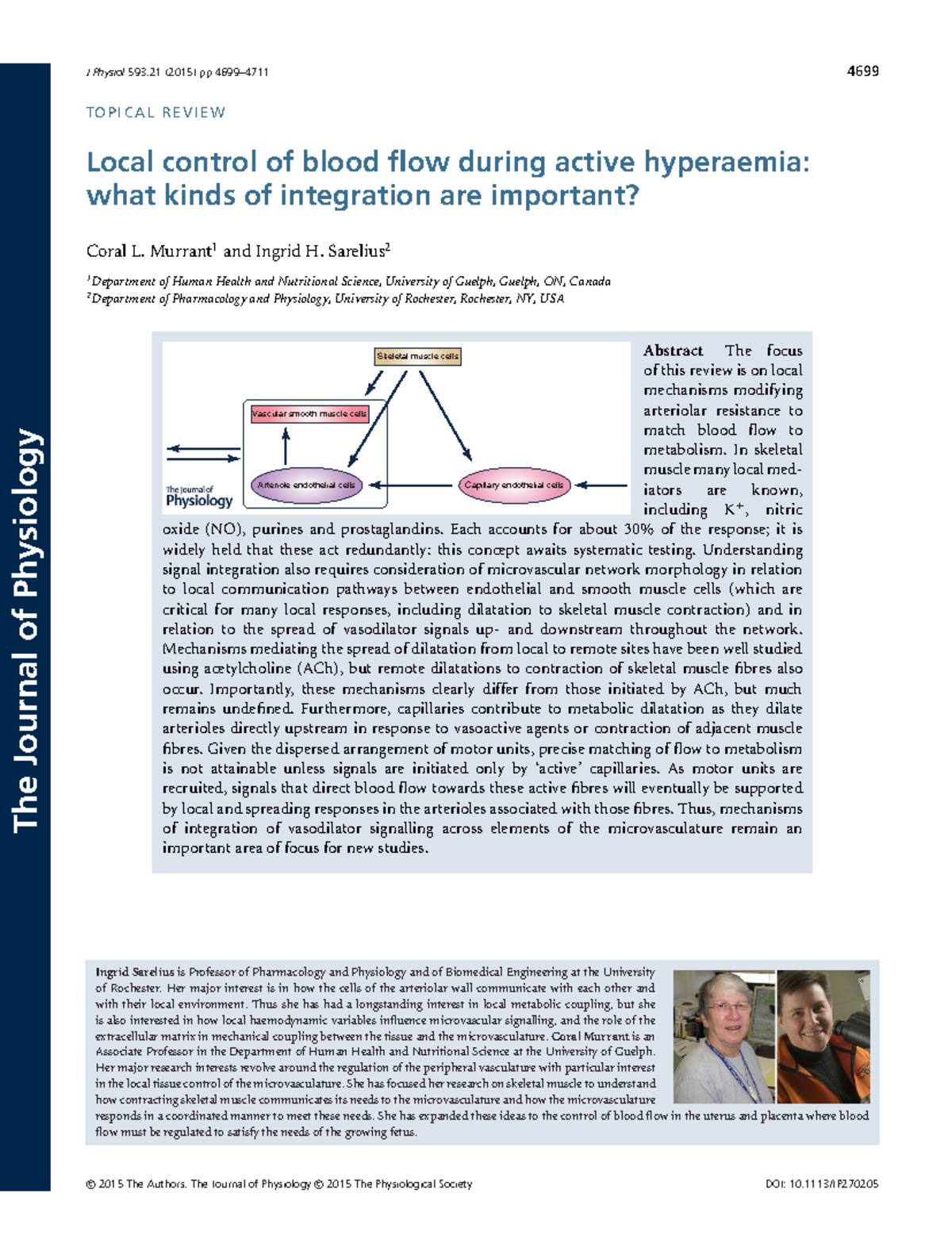 The Journal of Physiology - 2015 - Murrant - Local control of blood ...